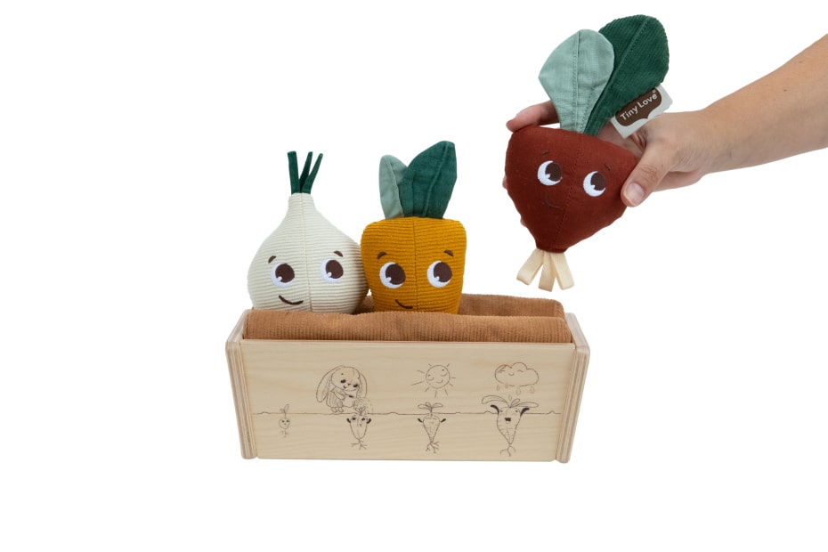 Garden of Adventures My First Garden